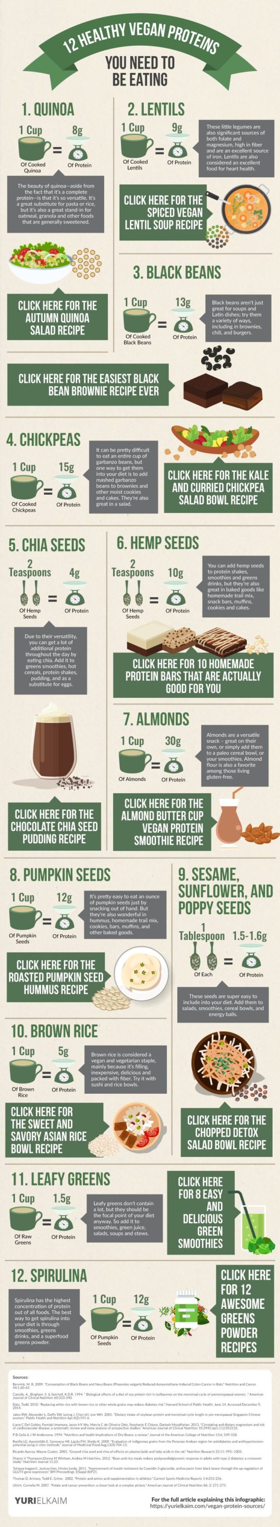 The Definitive Guide To The 12 Best Vegan Protein Sources Yuri Elkaim