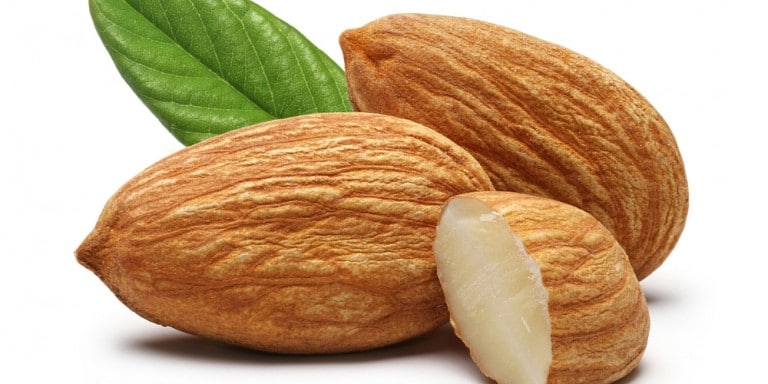 The Definitive Guide To The 12 Best Vegan Protein Sources Yuri Elkaim