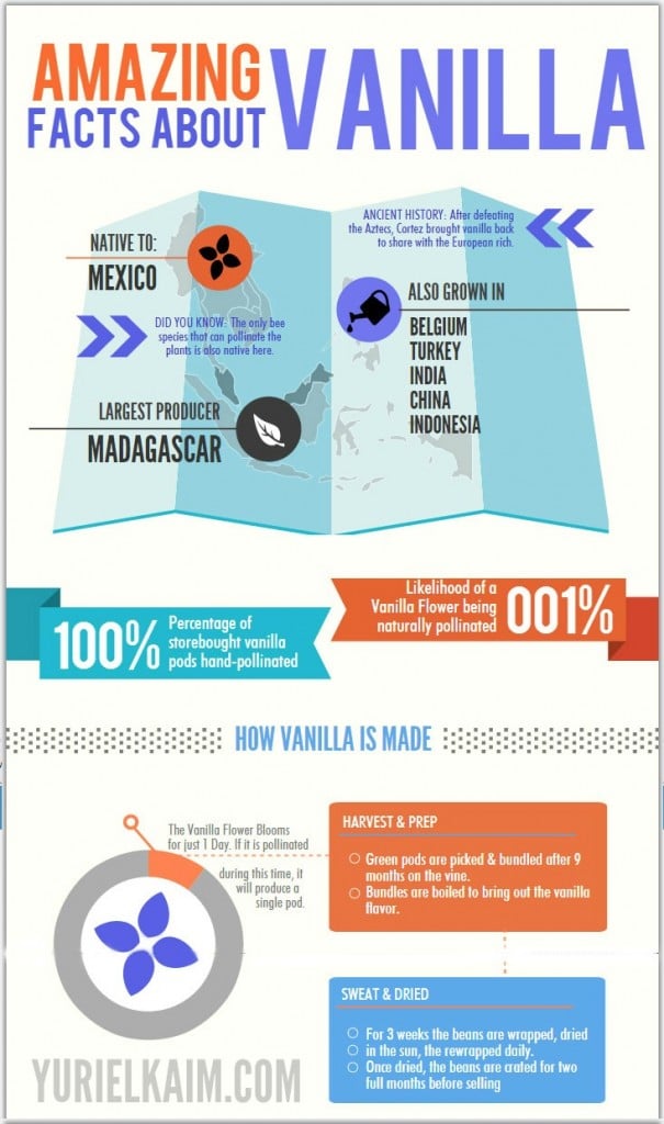 Why Vanilla Is so Good for You (Plus 6 Must-Try Recipes) | Yuri Elkaim