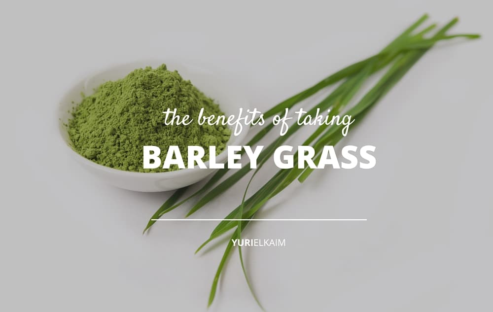 11 Life-Changing Reasons to Add Barley Grass To Your Diet - Yuri Elkaim