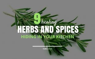 9 Healing Herbs and Spices Hiding in Your Kitchen | Yuri Elkaim