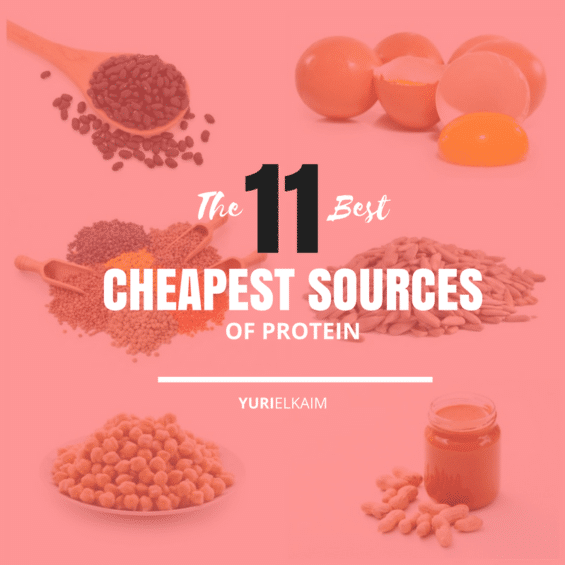 The Best and Cheapest Sources of Protein (All Dairy-Free) | Yuri Elkaim