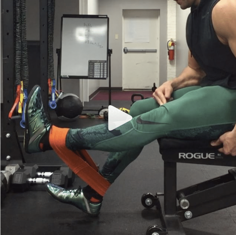 35 Resistance Loop Band Exercises: Core, Upper & Lower Body