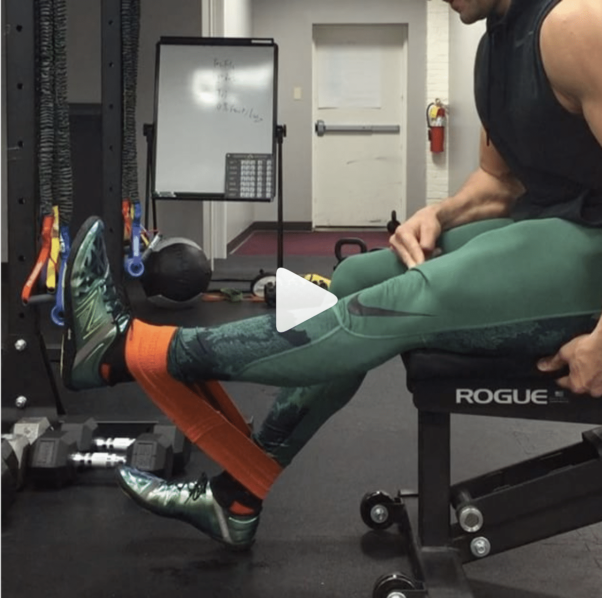 35 Resistance Loop Band Exercises: Core, Upper & Lower Body