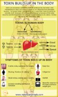 The 30-Second Toxin Flush: The Easiest Way to Detox | Yuri Elkaim