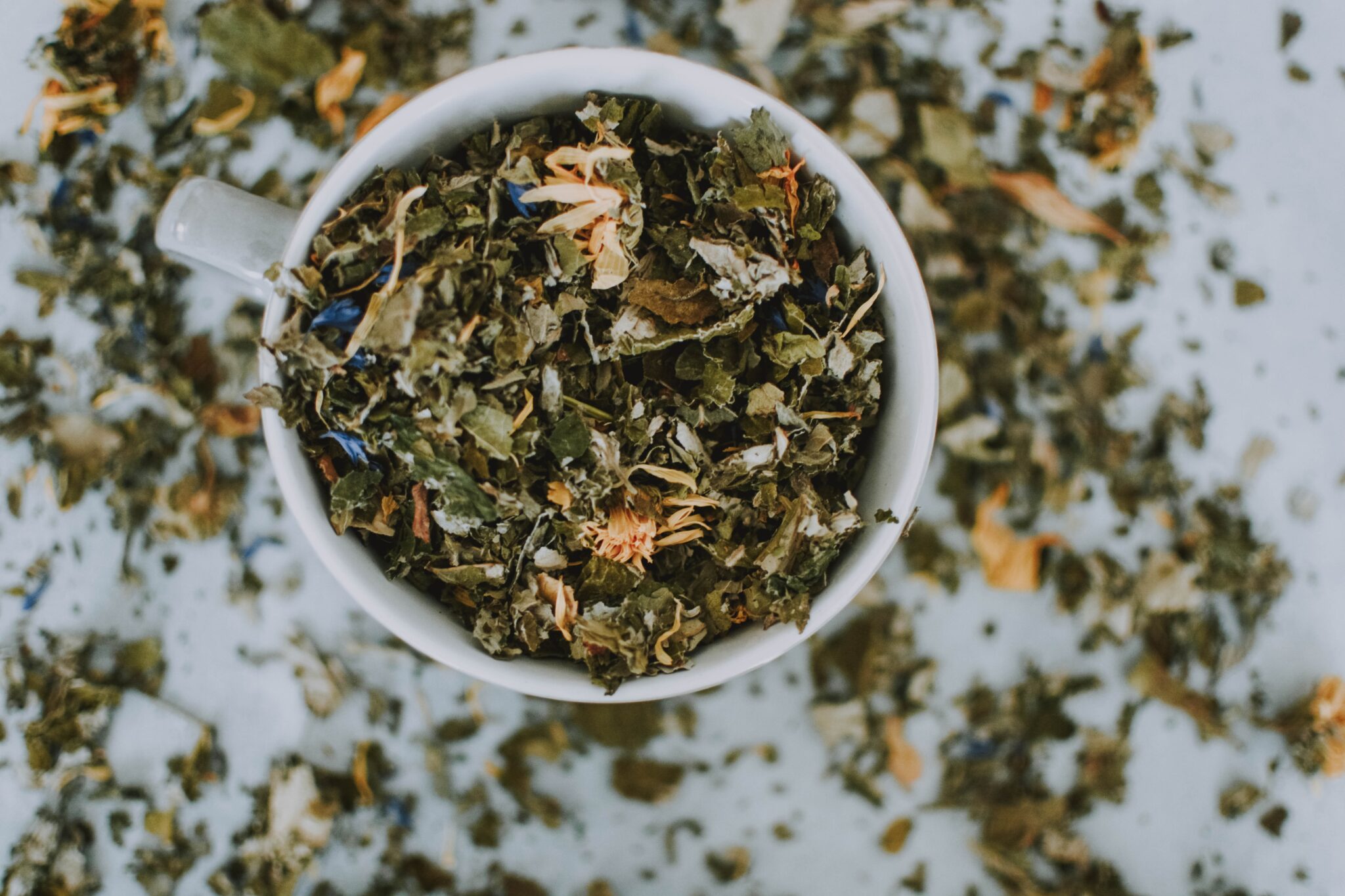 10 Powerful Herbs to Naturally Cleanse and Detoxify Your Body